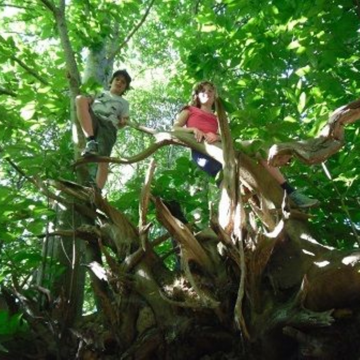 Frewen College - Adventurethon - Frewen School Reunion